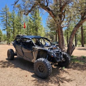 Can Am X3RR 2022 – UTV – The Toy Syndicate